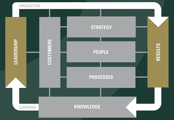 Business Excellence Models - Best Practice Improvement Resource